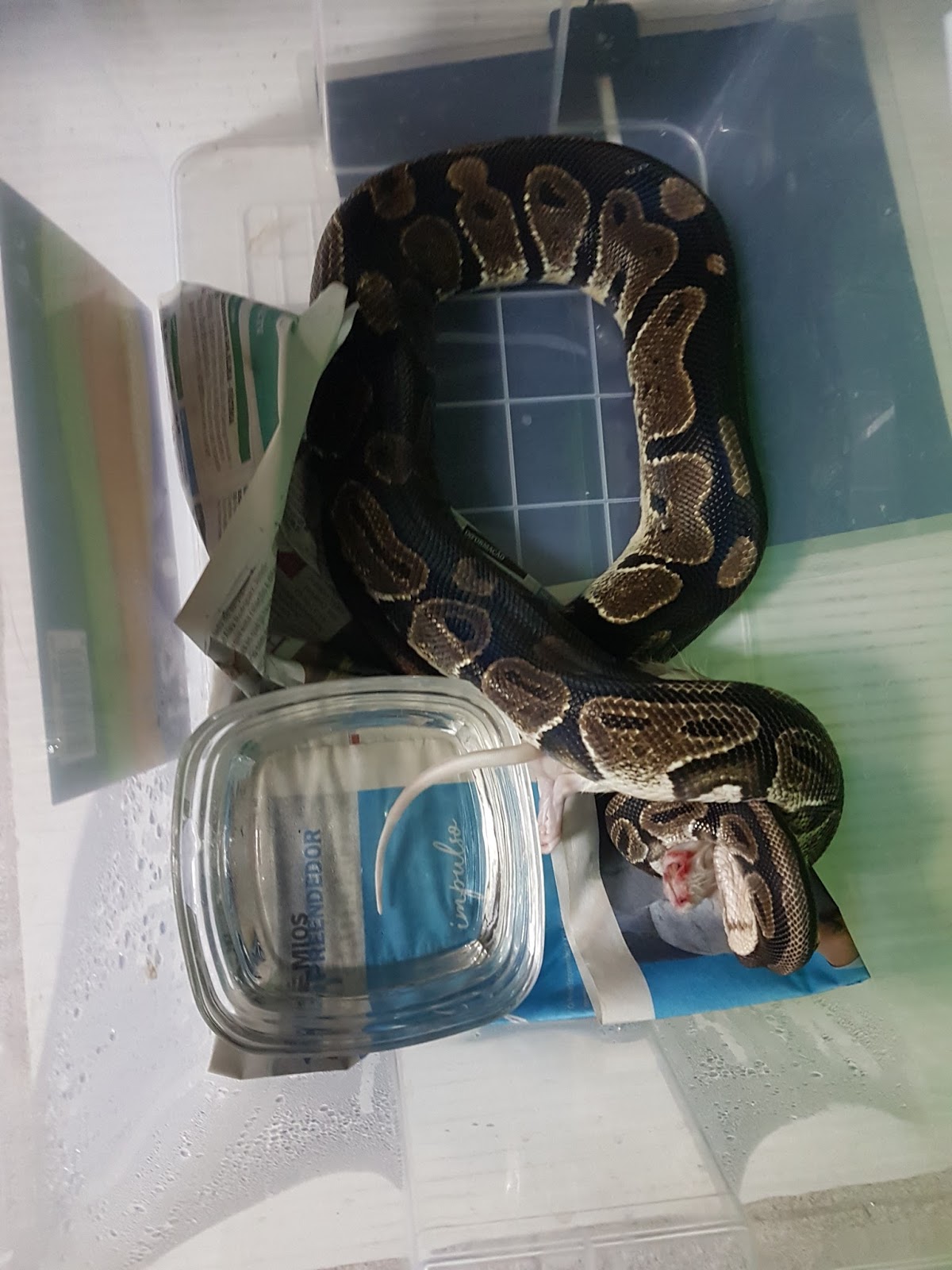 Animal breeding center