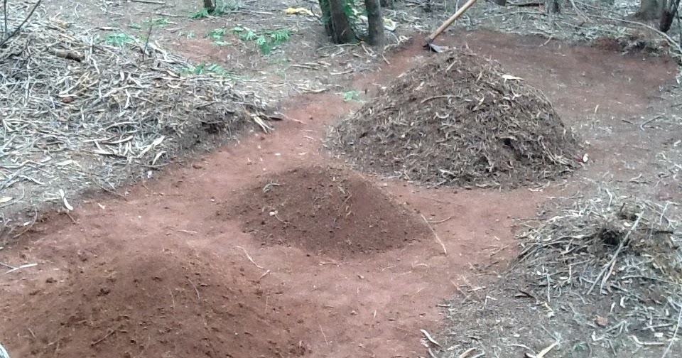 Arun Deshpande: Soil bank