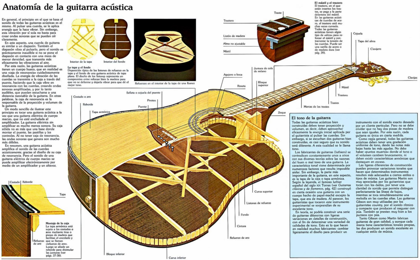 Clases de Guitarra : Pablo Bartolomeo: Anatomía de la Guitarra Acústica