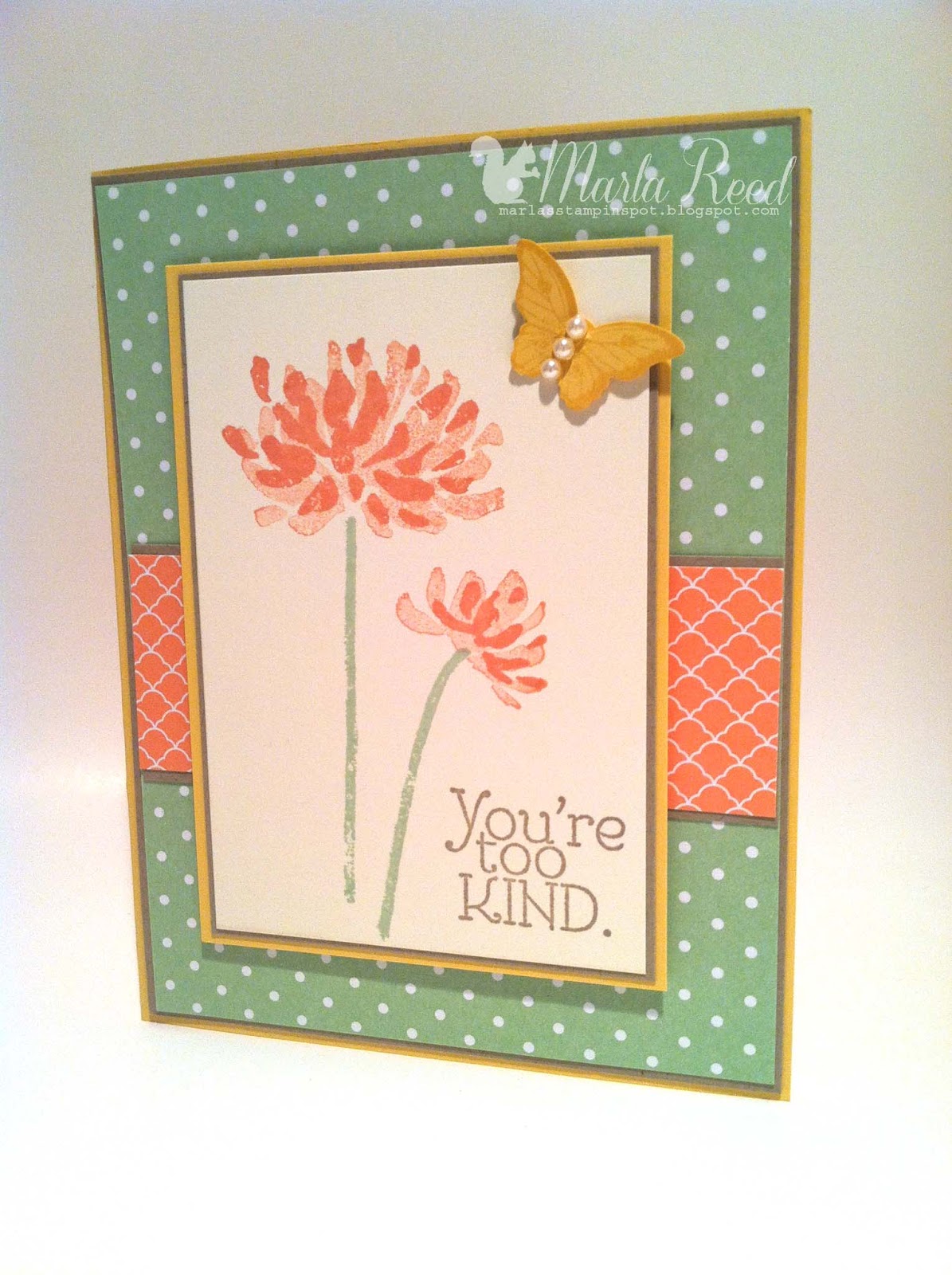 Fab Friday: Fab Friday 24