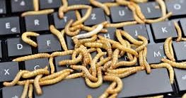 COMPUTER WORM - TECH ON WARES