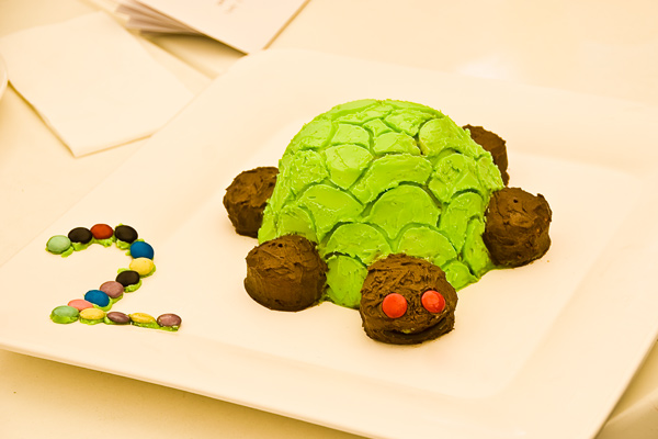 Cheshire Kat Grin: Turtle Cake