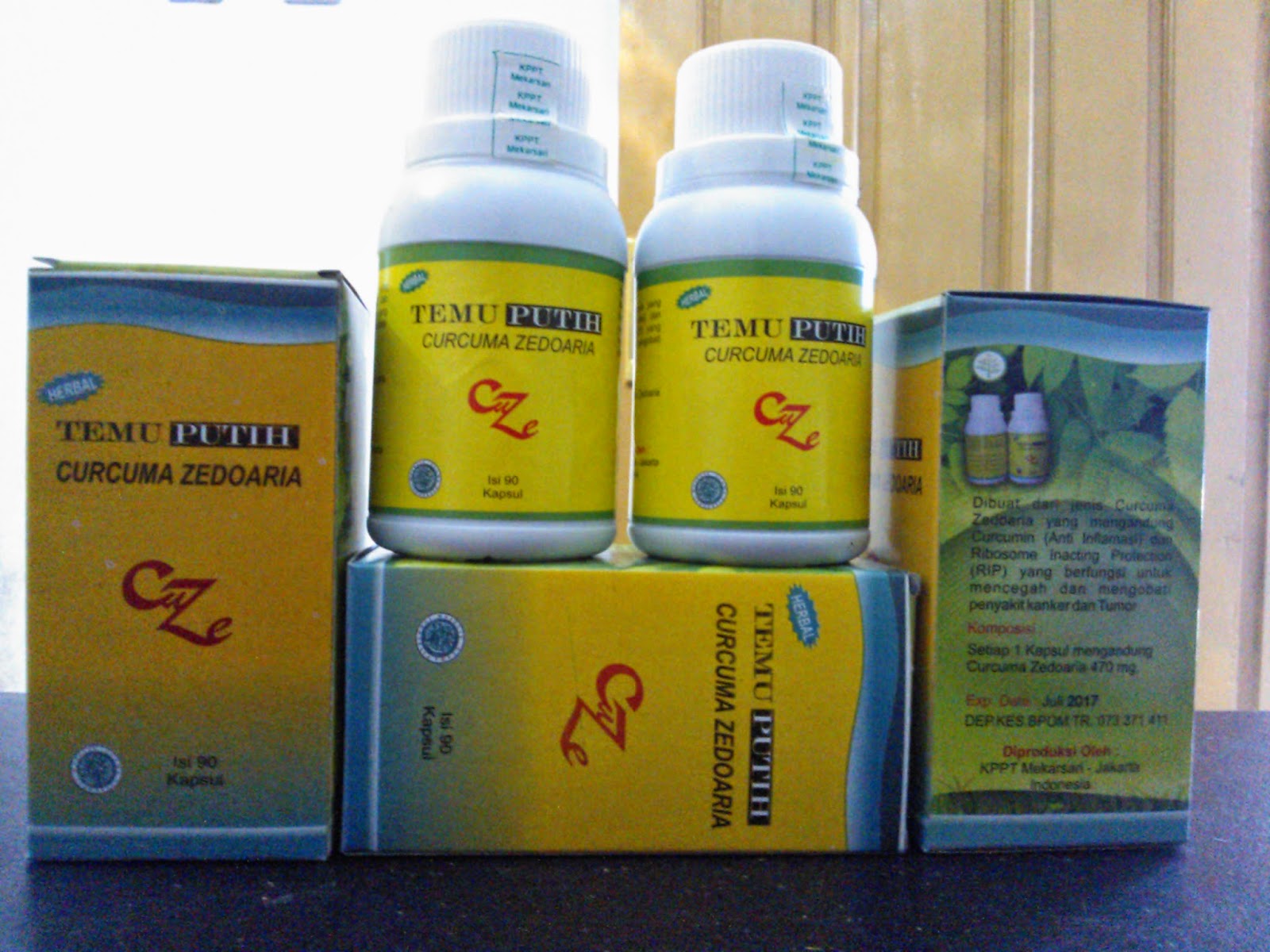 TEMU PUTIH ( Curcuma Zedoaria ) Produksi KPPT Mekarsari Jakarta: Obat ...