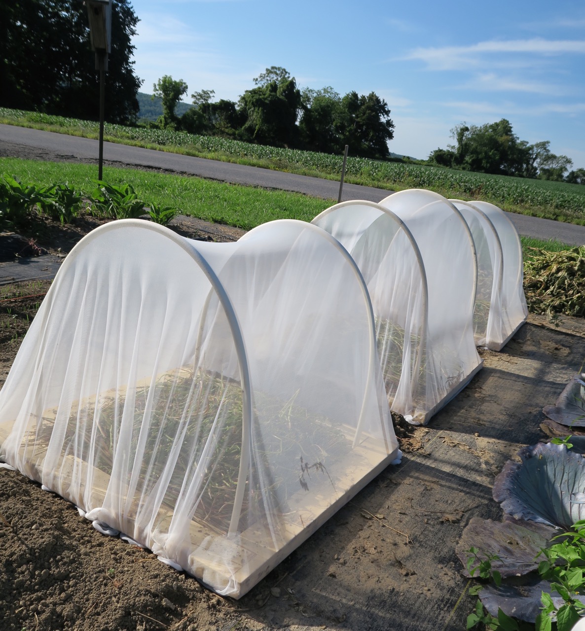 Upland: Insect Fabrics In The Garden (Current Options For US Gardeners)