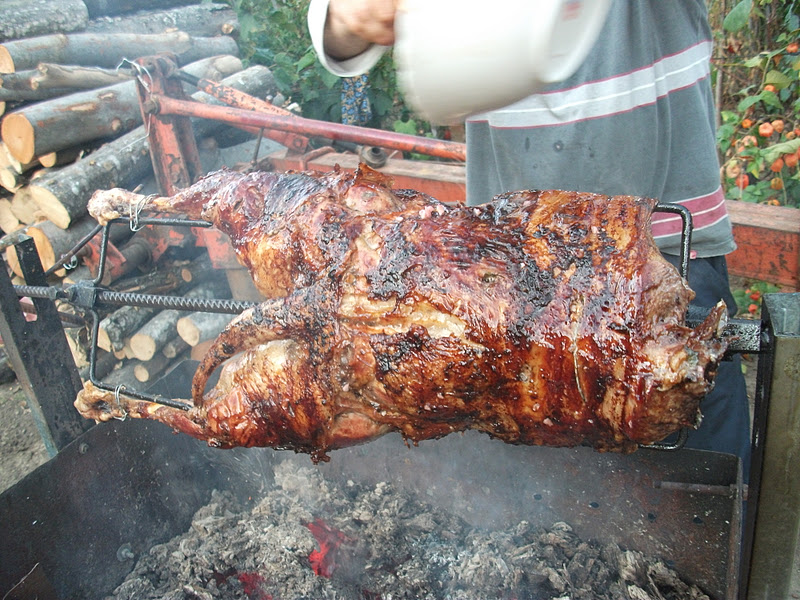 Myra's kitchen: Miel la protap