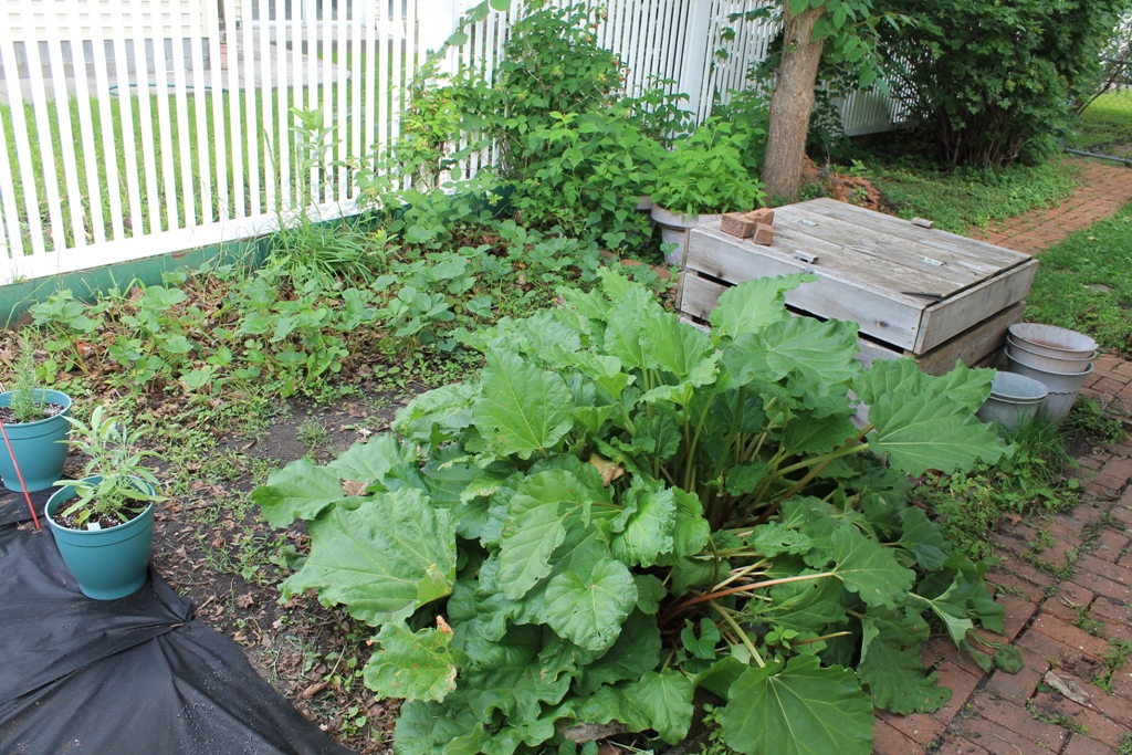 Snippets: It's a garden!