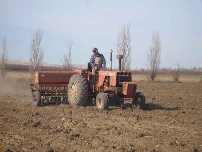 Magee Family Farm: Planting Hay