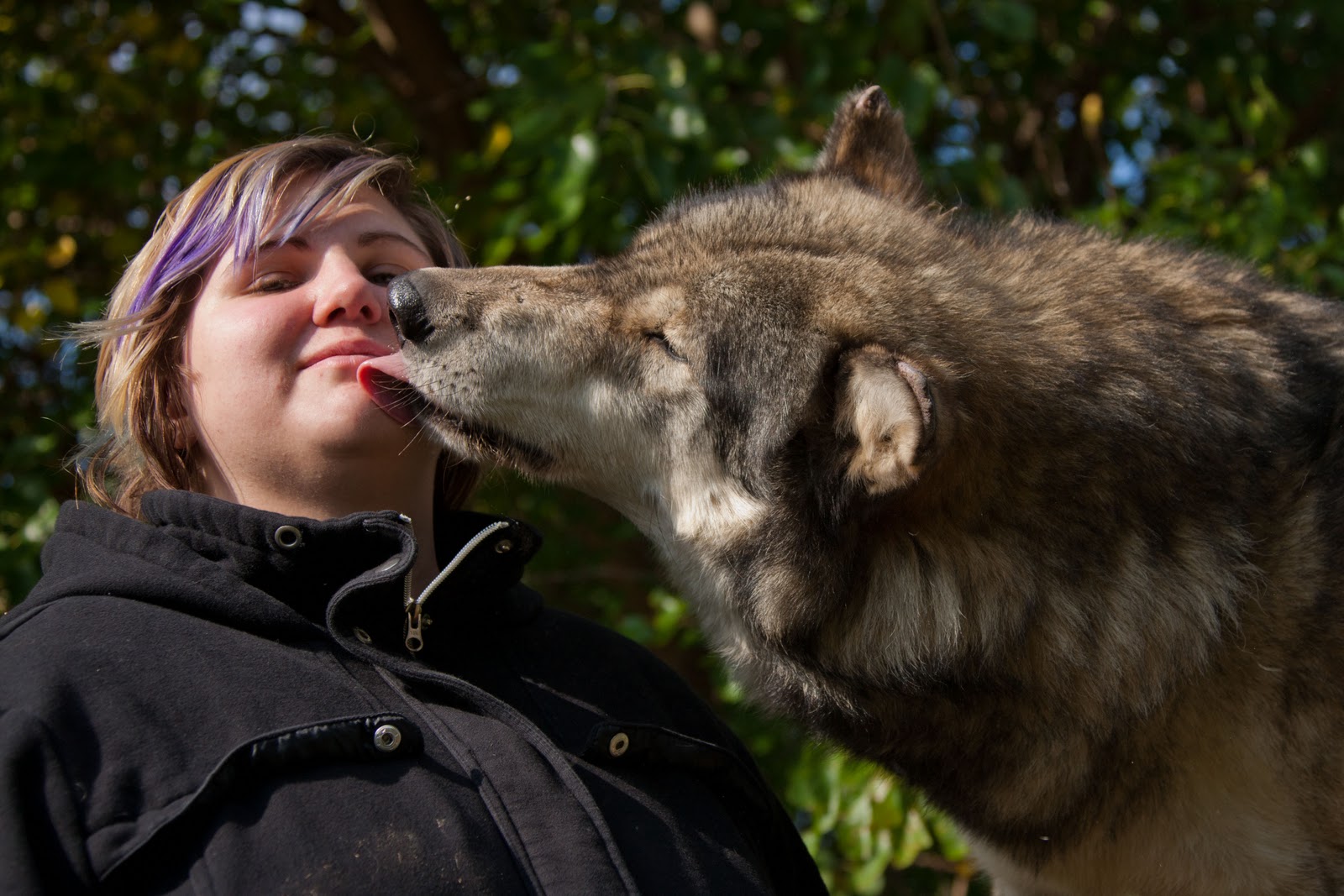 Reflections From The Heart