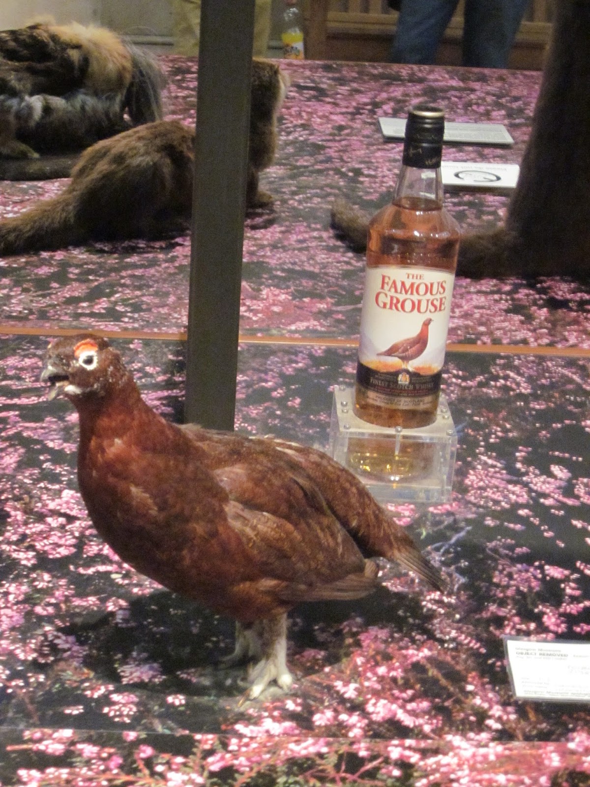 What In The World Is This: A Day In Glasgow, Scotland | by Alex Shebar ...