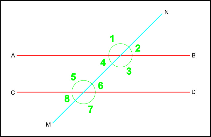 Hoja De Trabajo De Rectas Transversales Y Paralelas