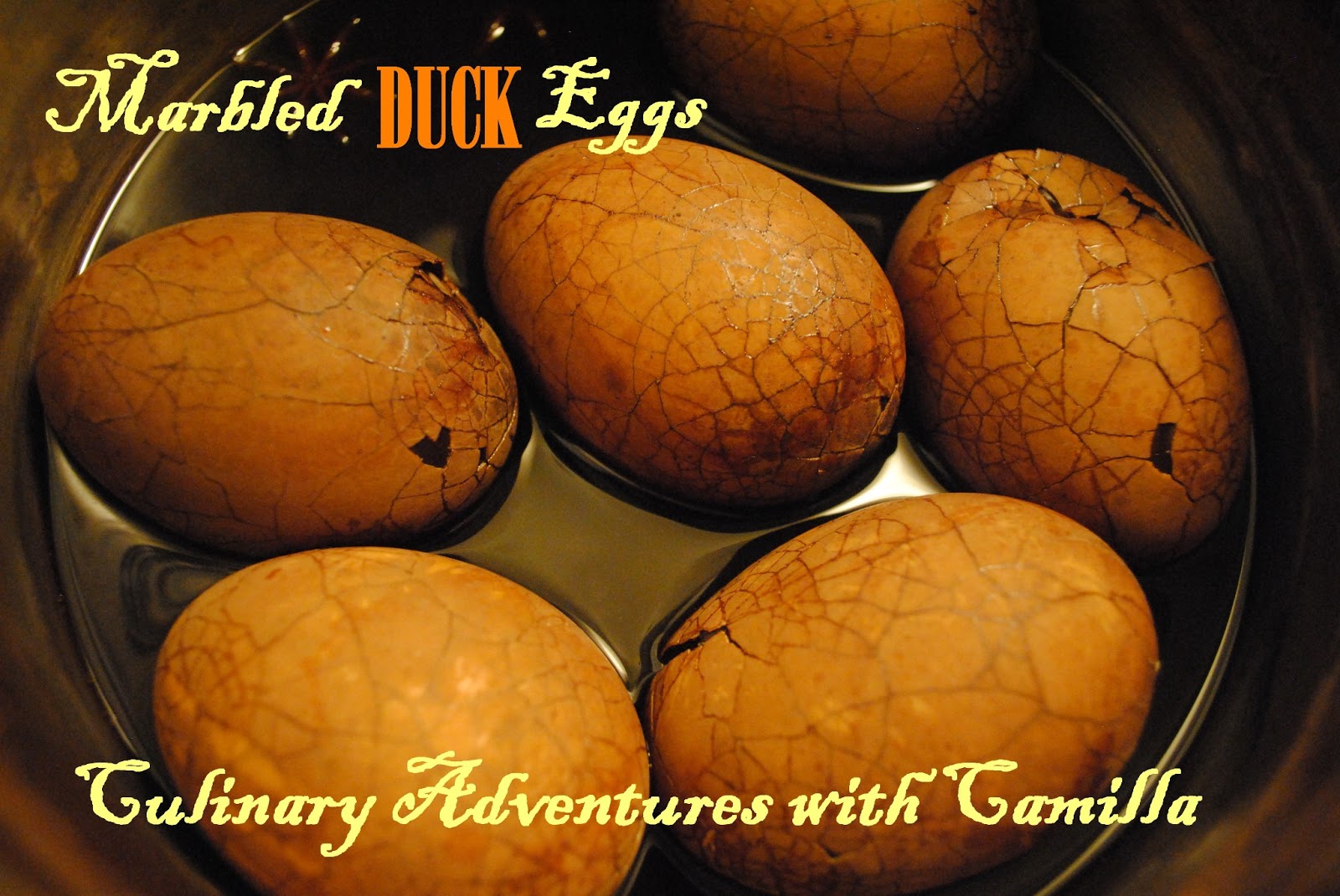 Marbled Duck Eggs