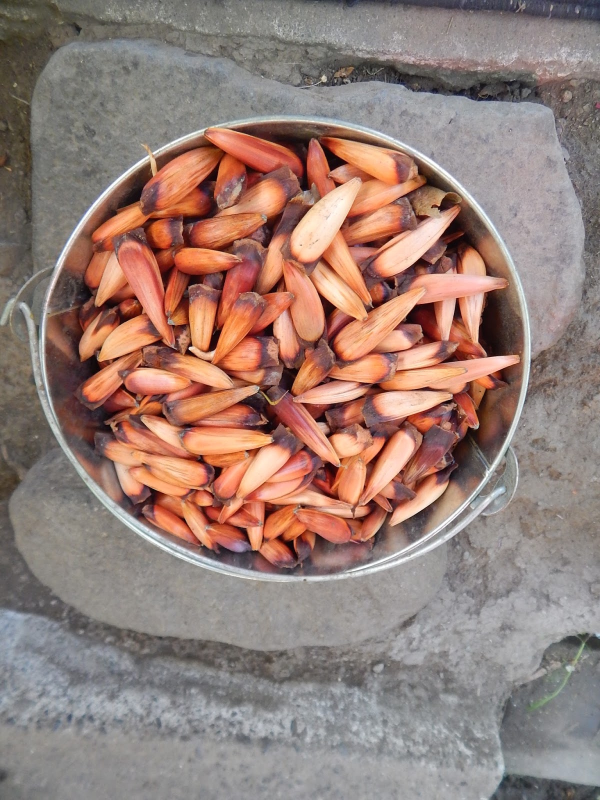 Cocina Chilena . Recetas Caseras: Piñones con Quinoa