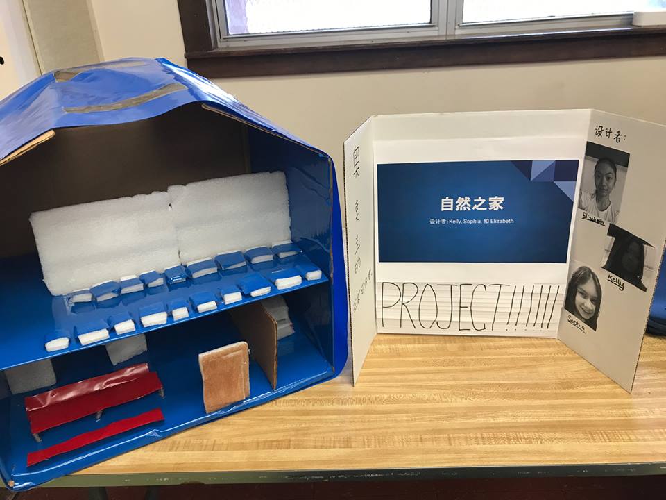 STUDENT-CENTERED, PROJECT-BASED MANDARIN LEARNING