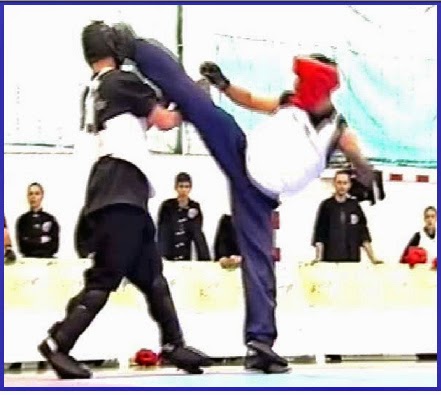SANDA WING-TSUN ALJARAFE: SANDA SAN-SHOU, CHINESE BOXING
