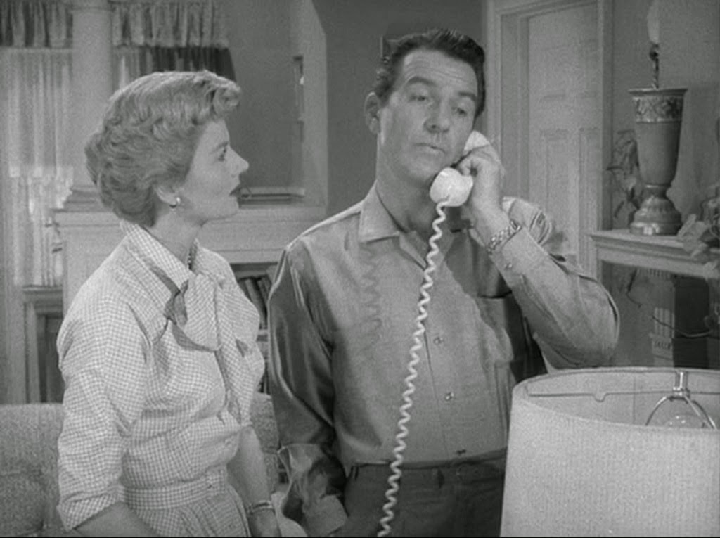 solidmoonlight: June's Dresses in "Leave it to Beaver"