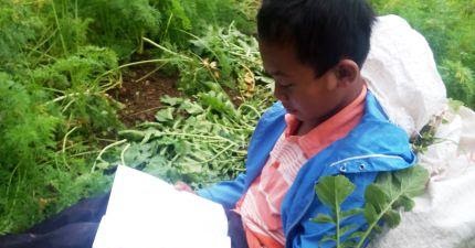 Menyabit Rumput Sambil Membuka Jendela Dunia - Suara Kuningan