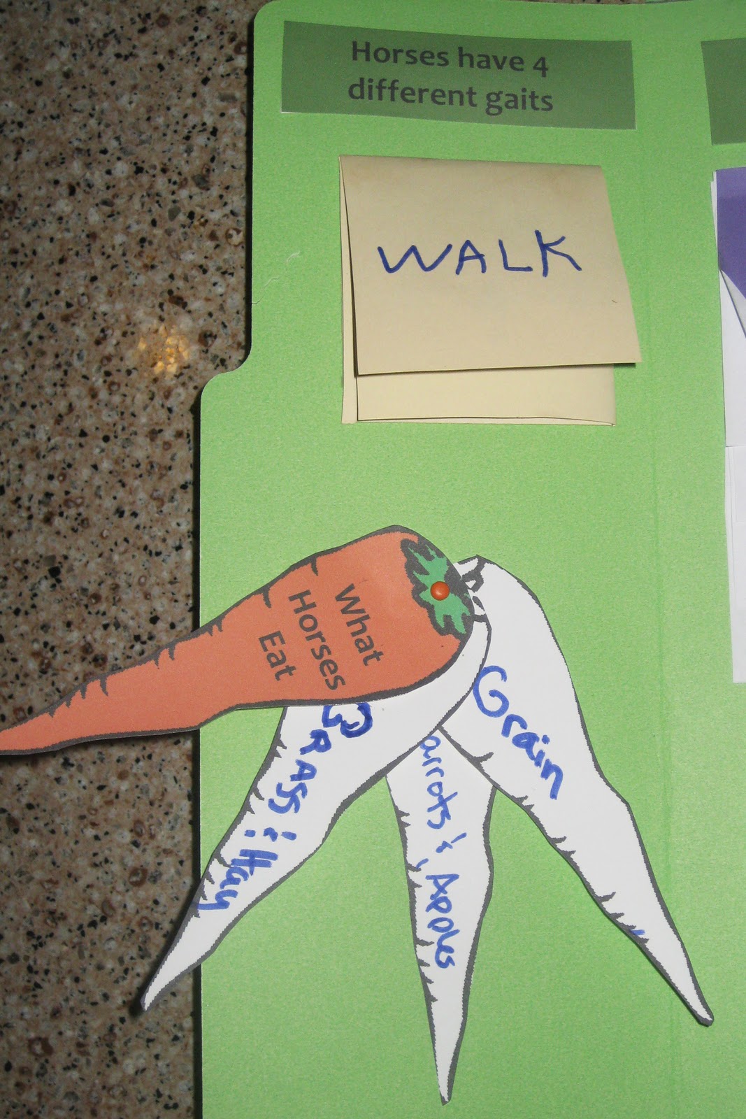 Homeschooling in Heels: All About Horses Lapbook