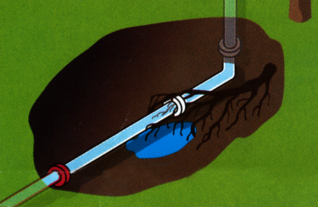 Poop In The Bathtub: A Plumbing Tale ~ The Upstate Under Your Nose