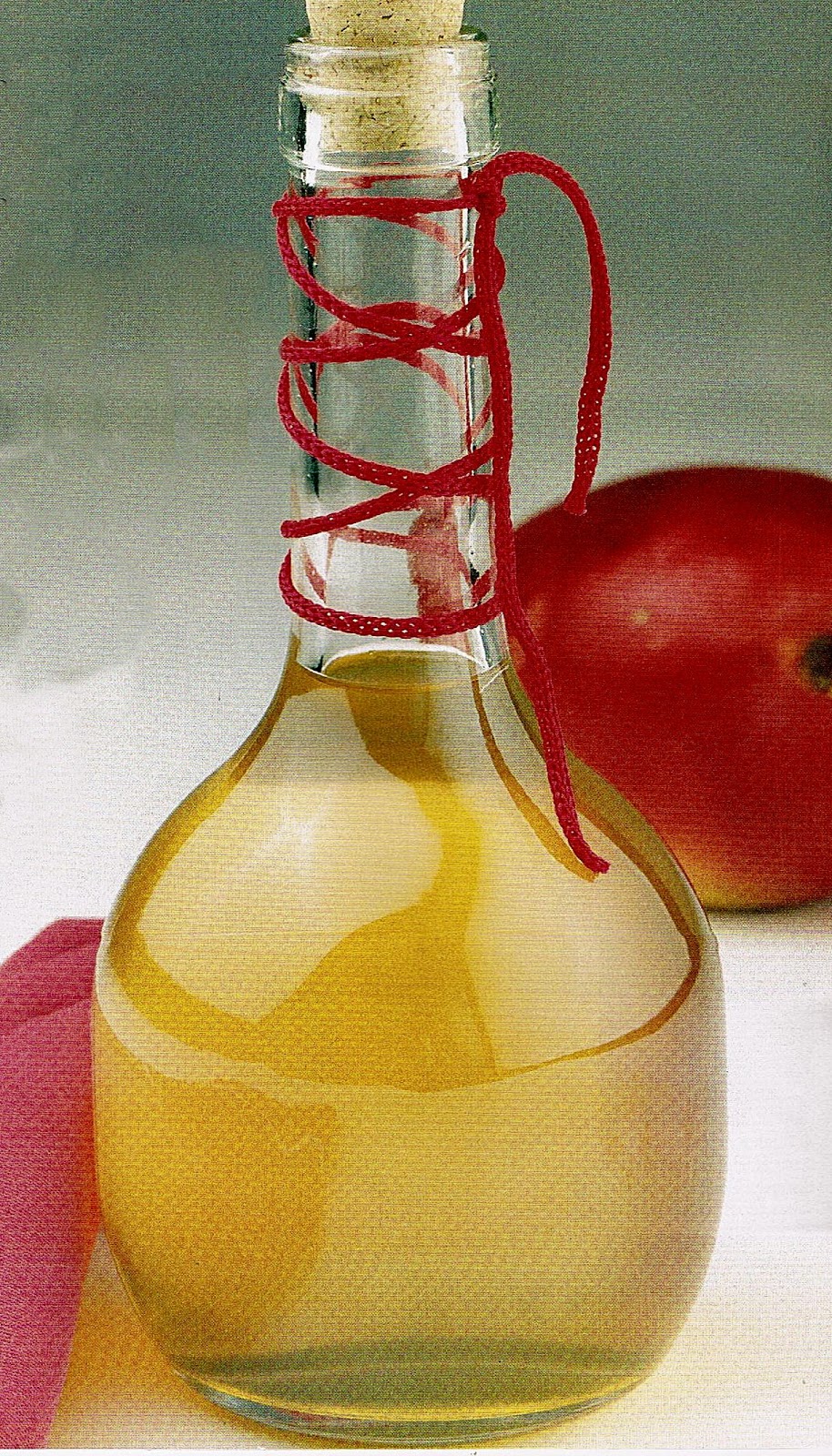 QUÉ COMEMOS DE RICO: LICOR DE MANGO