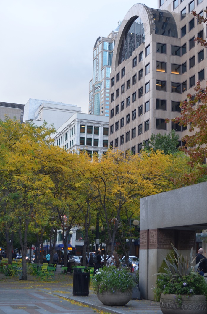 Seattle: la ciudad rodeada de bosque / VERO PALAZZO