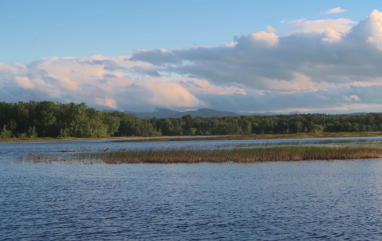 Saratoga woods and waterways: Working My Way to Valcour Island