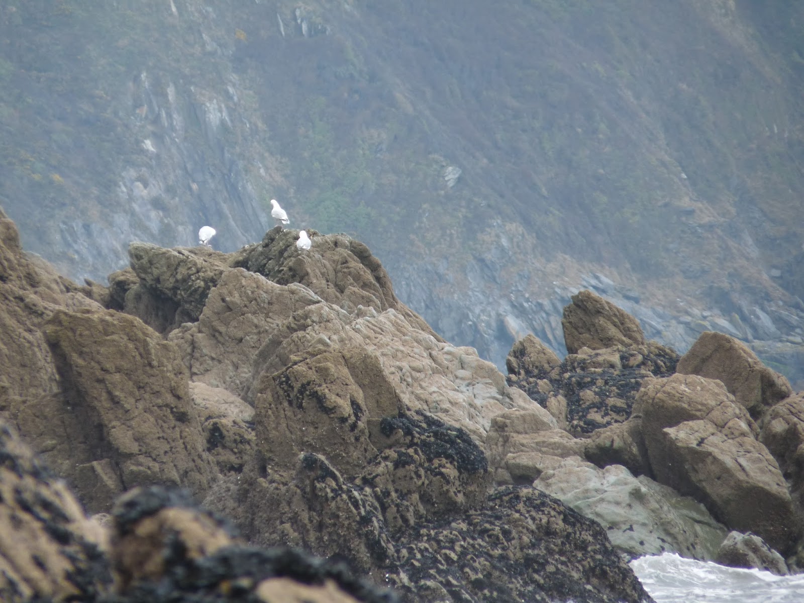 The Mowdog On The Road...: GORRAN HAVEN, CORNWALL: A POEM & IMAGES...