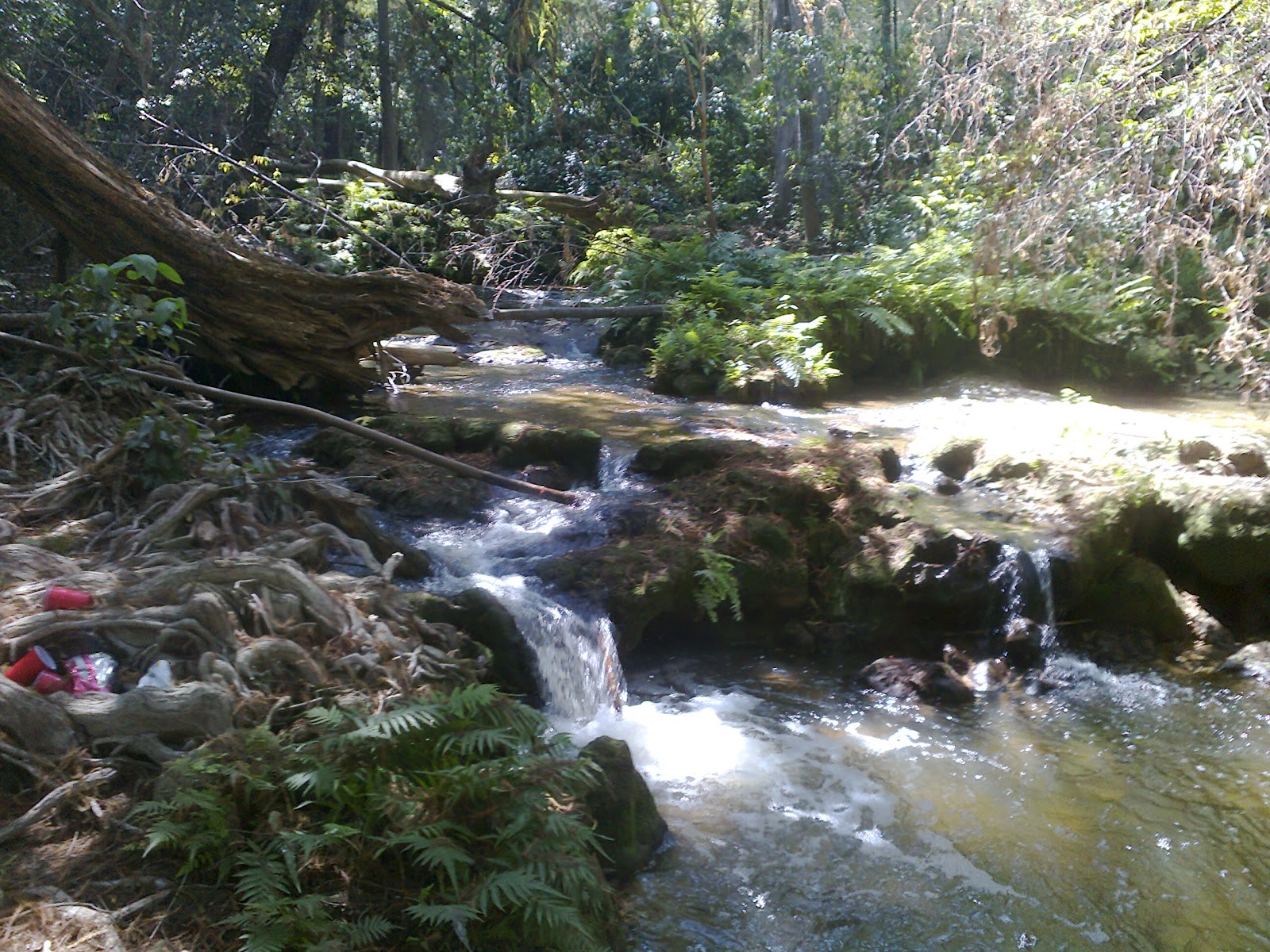 Blog de Carlos Esponda: EL RÍO SABINAL- CUENCA