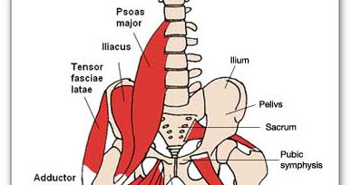 MEDICINA, SALUD Y CURIOSIDADES: PUBALGIA