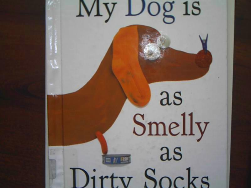 Mrs. Wagner's Class: My Dog Is As Smelly As Dirty Socks!