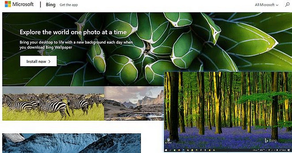 Bing Wallpaper 微軟推出的電腦桌布軟體,每天自動更換 Bing 精選圖片 - 逍遙の窩 Bing Wallpaper 微軟推出的電腦桌布軟體,每天自動更換 Bing 精選圖片 - 逍遙の窩