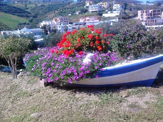 ΝΕΚΡΟΣ ΓΙΑ ΤΟΝ ΚΟΣΜΟ: Άγιοι της Πρωτομαγιάς!