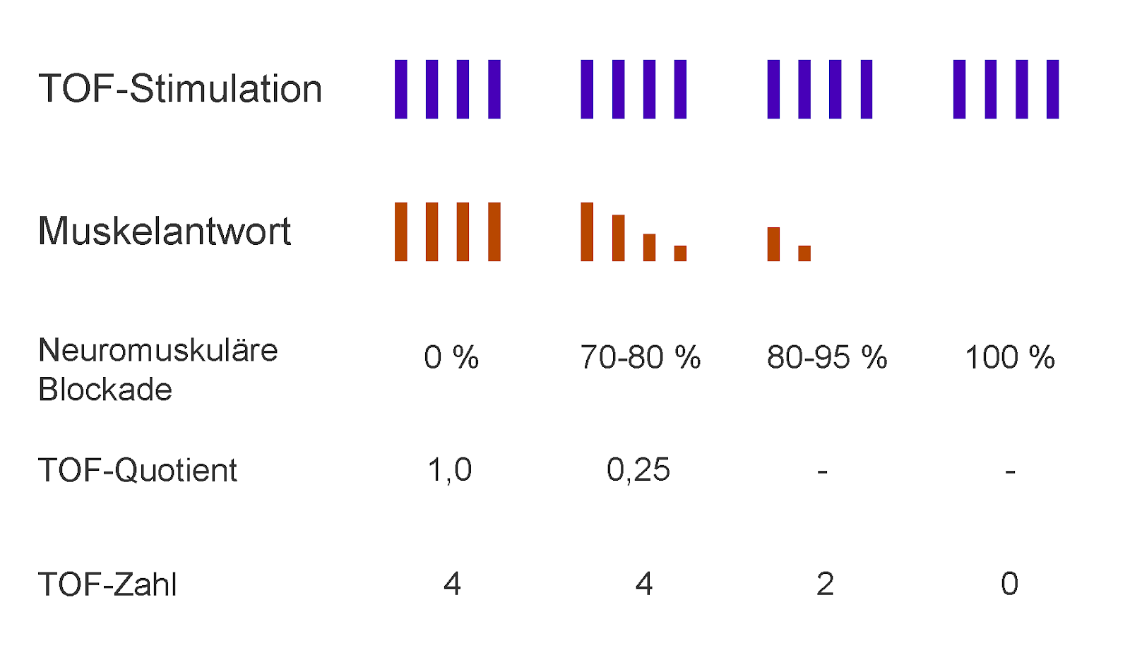 四連刺激 Train of four, TOF