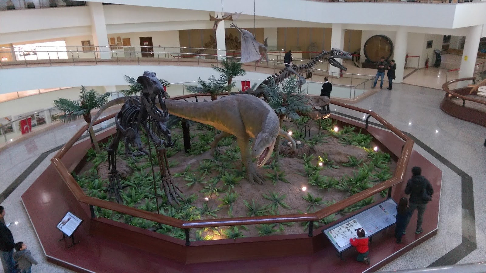 Gezenti Tosbik: MTA Tabiat Tarihi Müzesi, Ankara