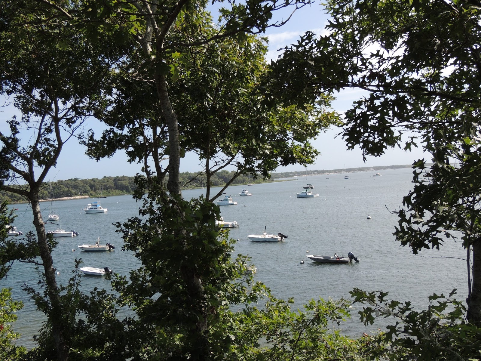 From Camping to Glamping: Cape Cod Waquoit Bay Reserve