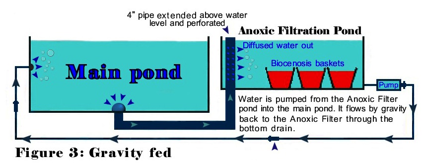 Anoxic Filtration System: Anoxic Filtration – is it a bog filter? Part ...