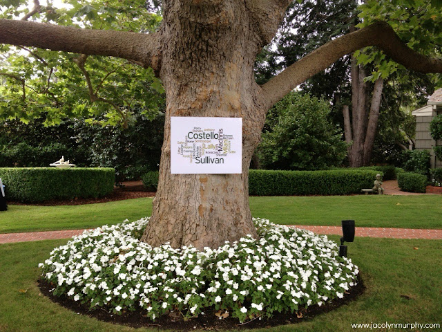 Jac o' lyn Murphy: The Family Tree