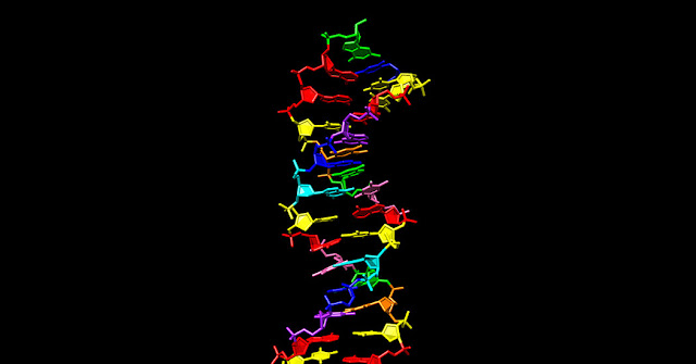 DNA Gets a New — and Bigger — Genetic Alphabet - GDO News