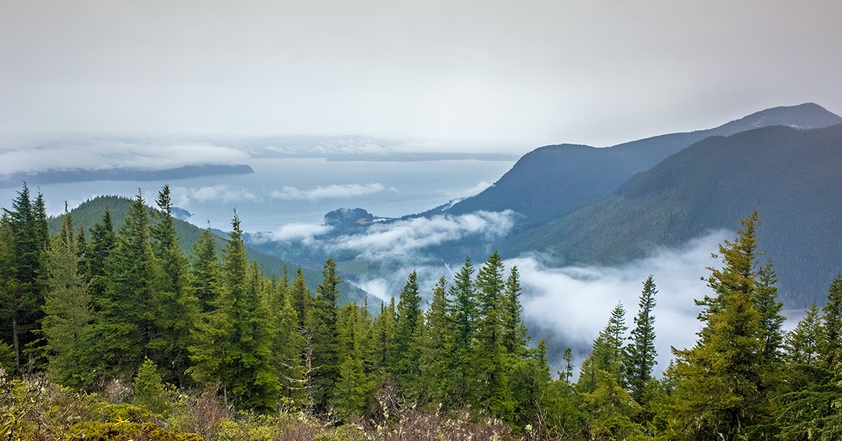 Walks with Moss: Mount Walker
