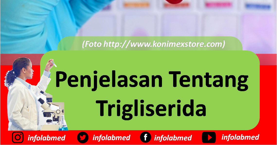 Penjelasan Tentang Trigliserida