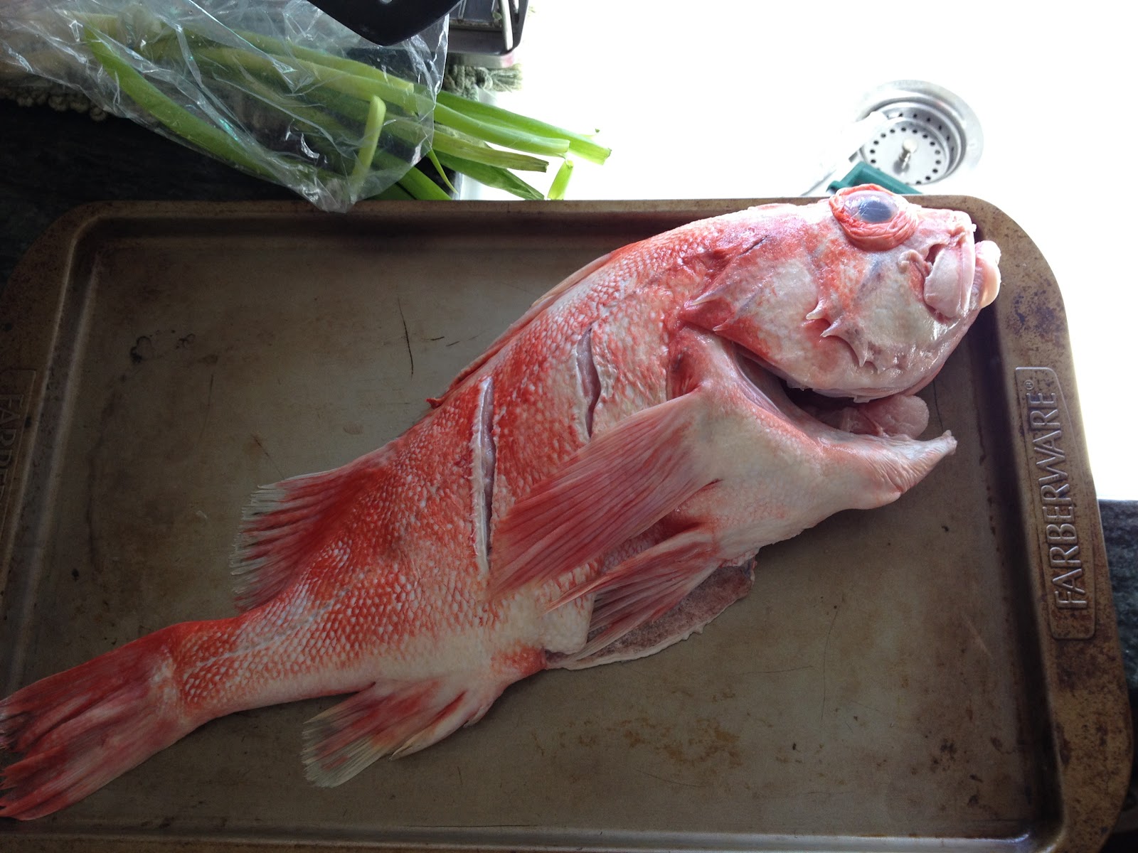 A Drinkable Feast: Sunday Memories: Roasted Red Snapper; Apple and ...