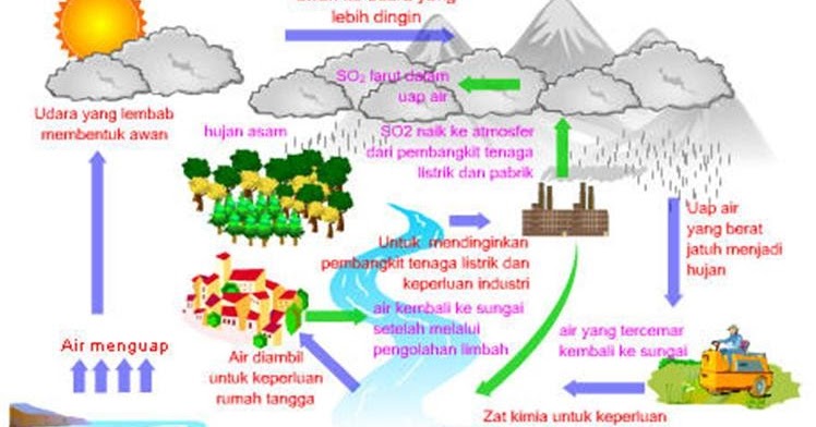 PROSES HUJAN ~ LINGKUNGAN BY SINTHESIA NOOR SMKN 11 BANDUNG