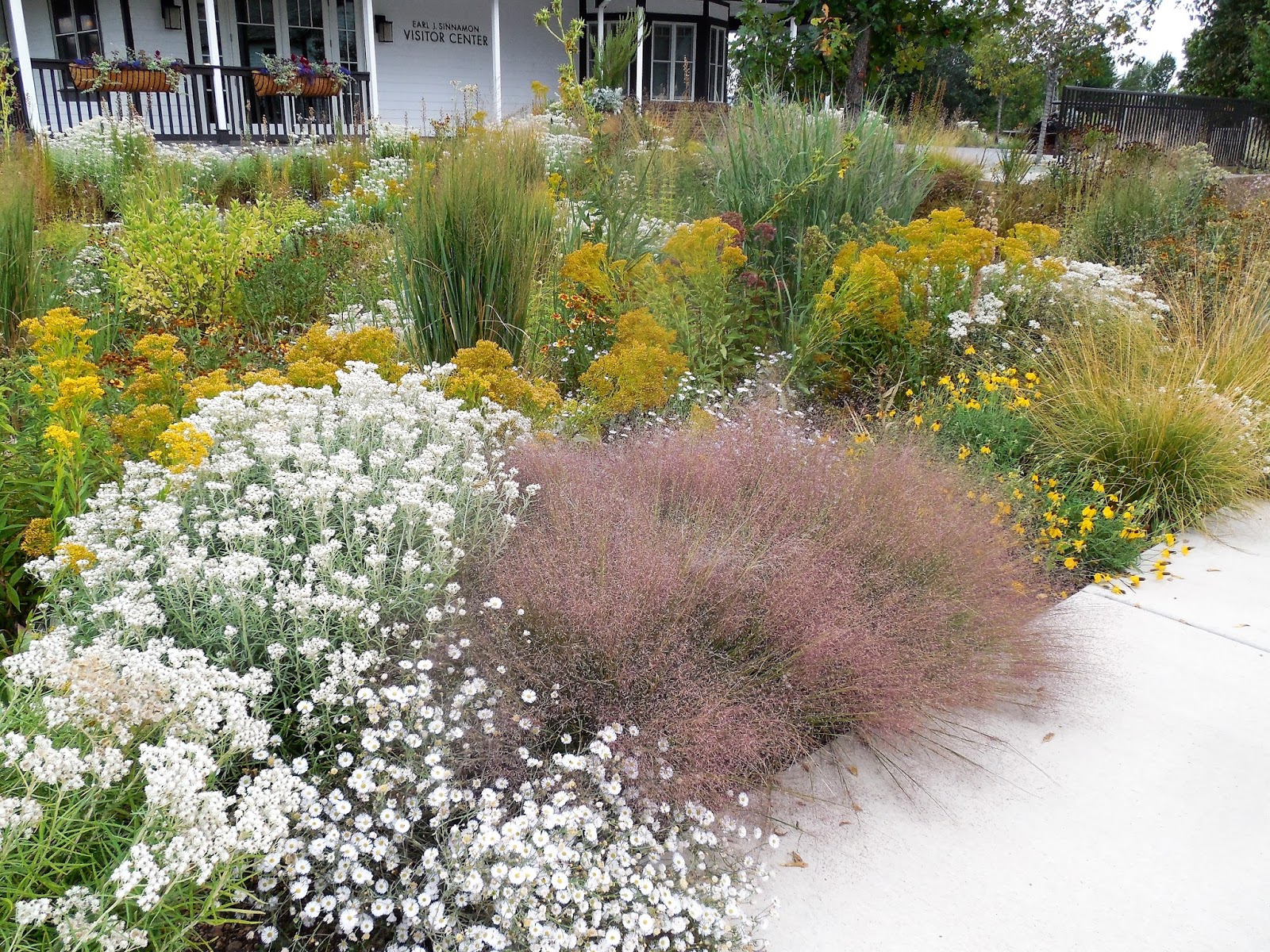 Prairiebreak: Singing a different tune: The Colorado prairie style