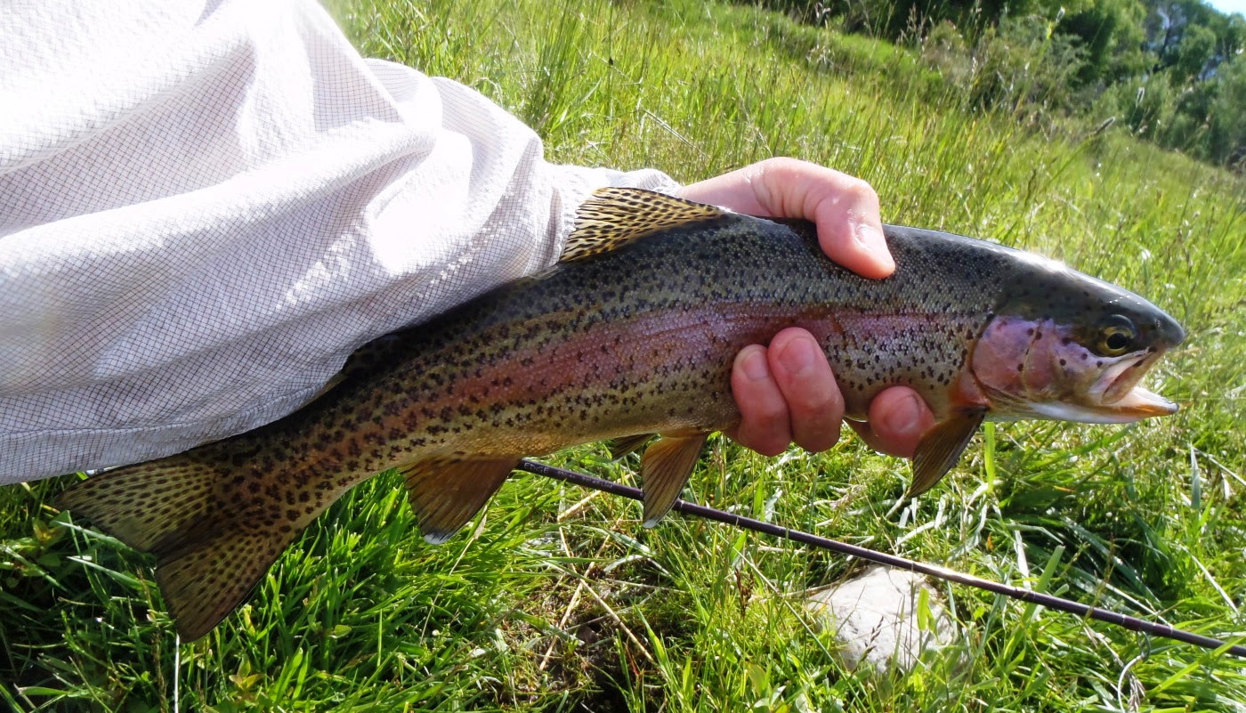 Mountains, Rivers, & Trout: Anticipation Coming True - On The Spring Creeks