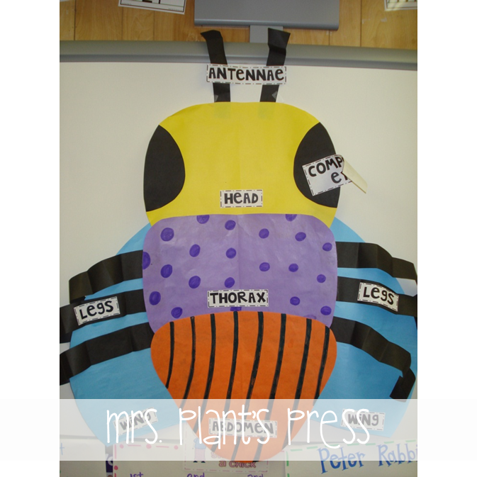 We've Gone Buggy! - Primary Press