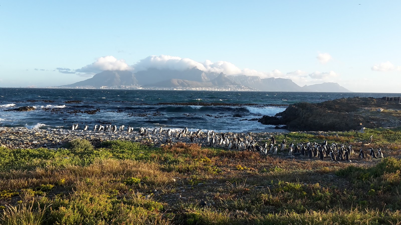 dave a walker: African Centurion 2016