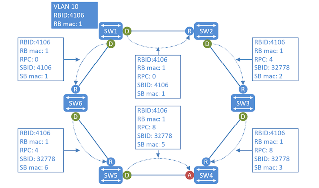 The Network Times: Rapid per VLAN Spanning Tree protocol (Rapid PVST+ ...