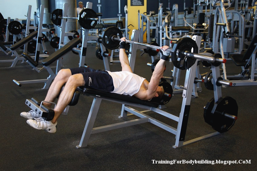 best chest workout ~ training for bodybuilding