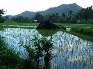 Denpasar Cultures: Putung
