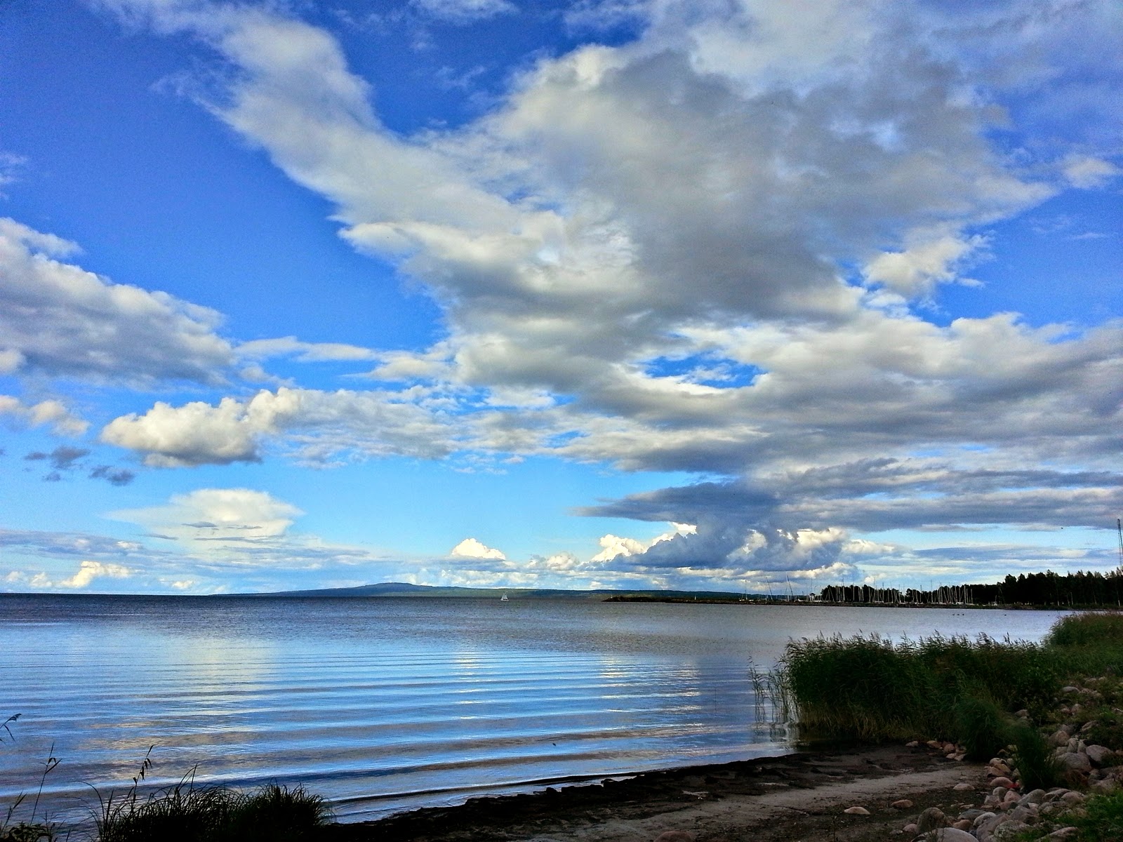 Geddfish : Himlar, jord och vatten