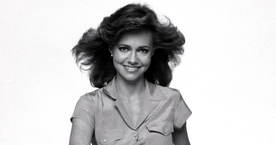 Slice of Cheesecake: Sally Field